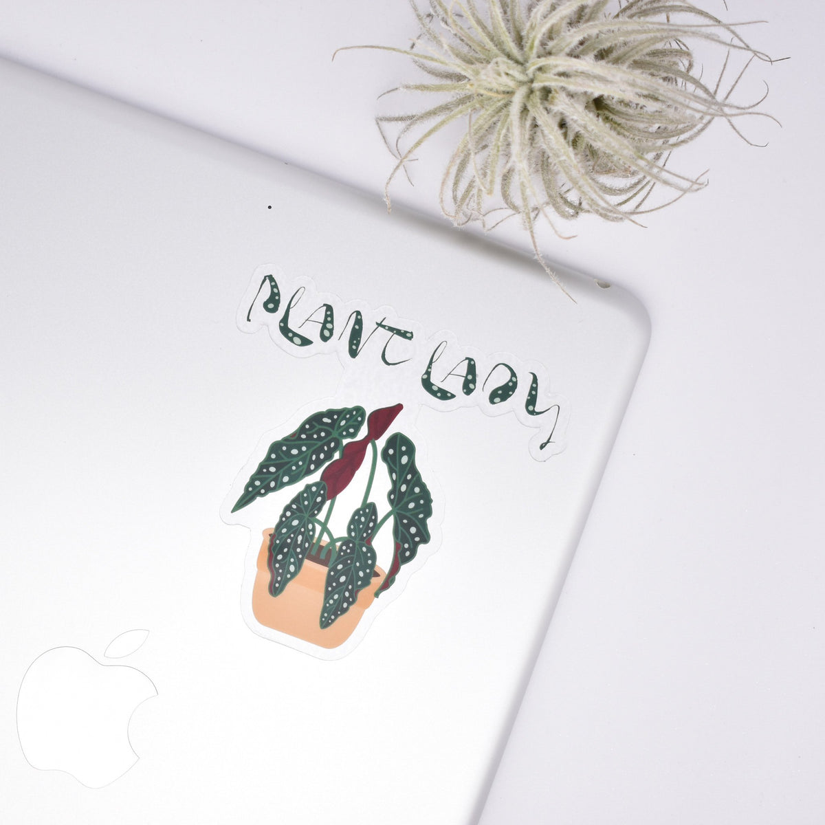 Plant Lady Sticker – Plant Scouts
